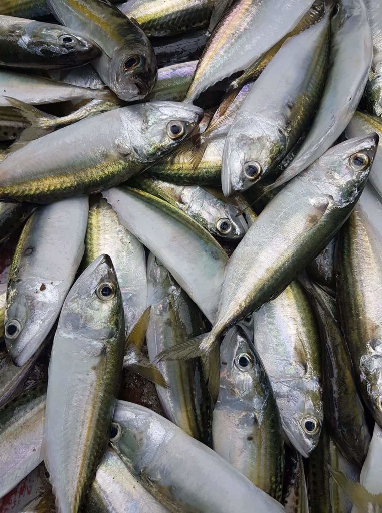 Products – Sayadeen Fisheries