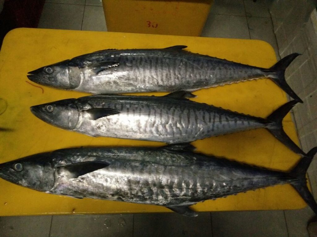 Products – Sayadeen Fisheries