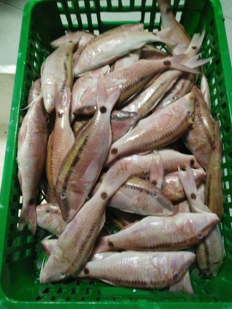 Products – Sayadeen Fisheries