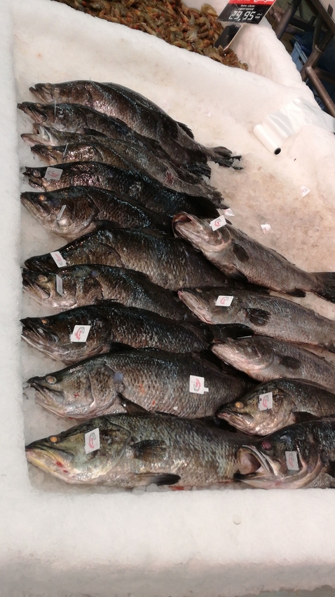 Products – Sayadeen Fisheries